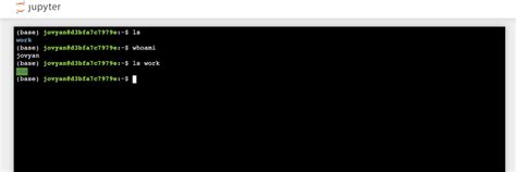 hacking jupyter notebooks
