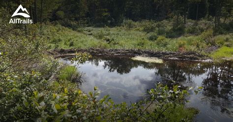 Best Trails In Pinchot State Forest Pennsylvania Alltrails