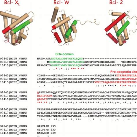 A General Scheme Of Peptide Array Design And Screening A B An