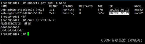 prometheus 监控 k8s pod 的解决方案 （ nginx，web应用 ） prometheus监控nginx pod csdn博客