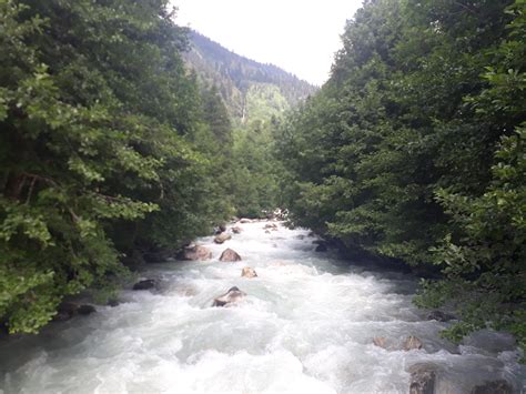 მცირე და საშუალო ჰესების გავლენა ბუნებრივ გარემოზე Green Alternative