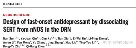 重磅突破！抗抑郁药物或迎来革新，南京医科大学团队开发新型抗抑郁药物化合物 知乎
