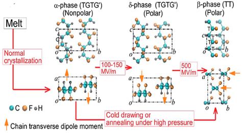Electric Field Induced Phase Transitions Of Pvdf Electric Poling Download Scientific Diagram