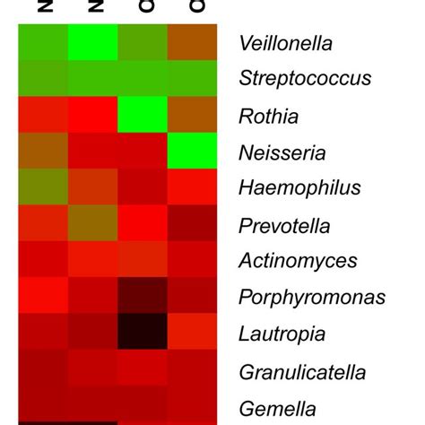 Heatmap Of Relative Abundance Of Bacterial Groups Relative Abundance Download Scientific