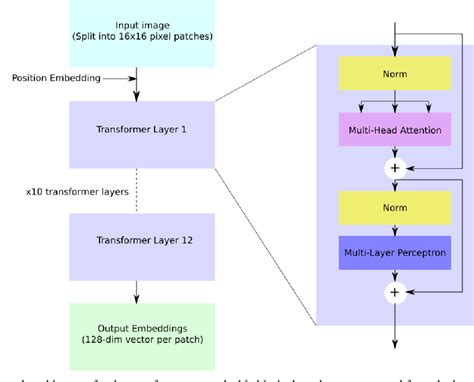 Figure 3 From Attention Based Self Supervised Hierarchical Semantic