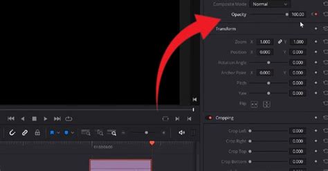 How To Quickly Fade To Black In DaVinci Resolve IDevie