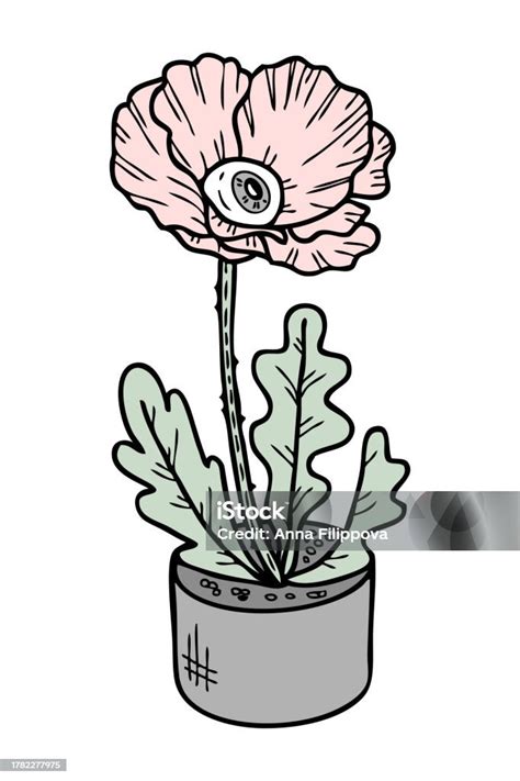 큰 눈의 낙서 양귀비 꽃 식물은 평평한 화분에 있습니다 티 스티커 카드 포스터를 위한 마술 인쇄 장식과 디자인에 대한 고립된