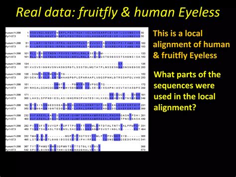 The Smith Waterman Algorithm Ppt