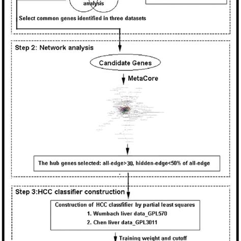 A Schematic Diagram Of This Novel Systems Biology Based Gene Expression