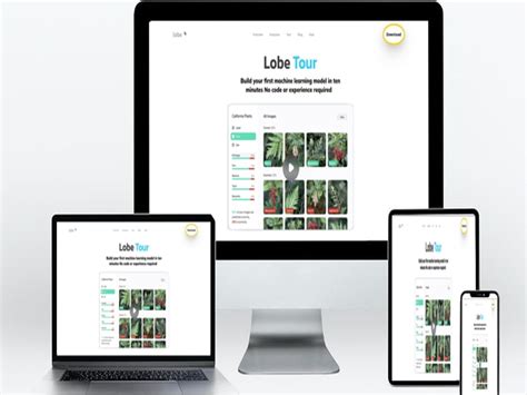 a custom website with responsive code quality animations and hosting