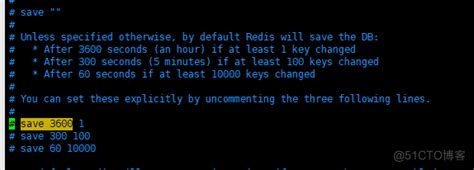 Redis持久化 Csdn博客