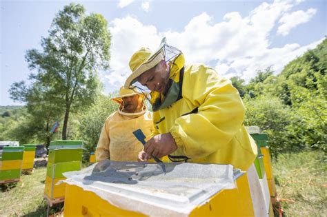 „ყარაბაღის“ ბრენდით აზერბაიჯანული თაფლი ექსპორტზე წლის ბოლოს გავა Bpn