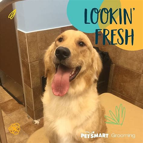 GitHub Miaohe Leetcode