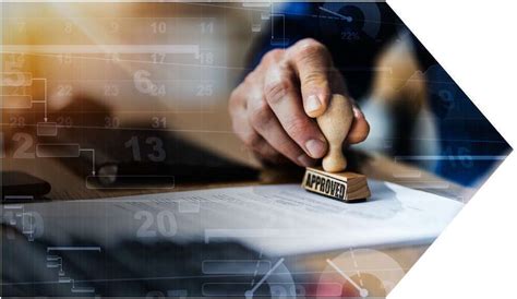 Customs Formalities Ifl Sped