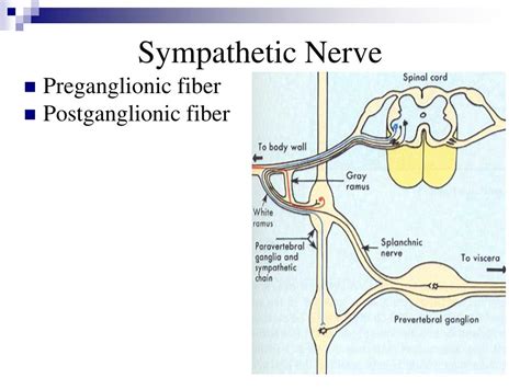 Ppt Part 8 Powerpoint Presentation Free Download Id 3697521
