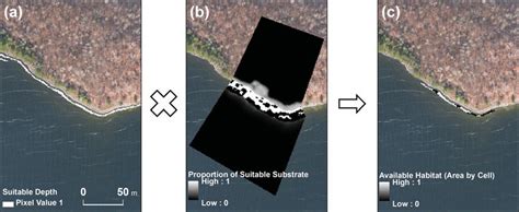 Figure A Flow Diagram For Creating An Available Habitat Raster At Download Scientific Diagram