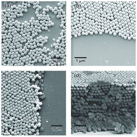 Sem Micrograph Of C Pcs Elaborated At Different Lifting Speeds Sp Con µ Download Scientific
