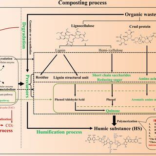 Diagram Of Composting Process Mechanism Red Continuous Arrows Indicate Download Scientific