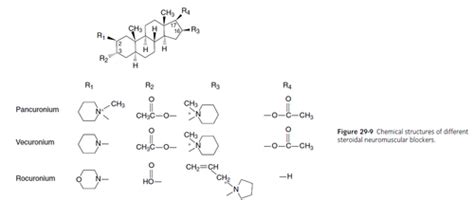 Rocuronium Flashcards Quizlet