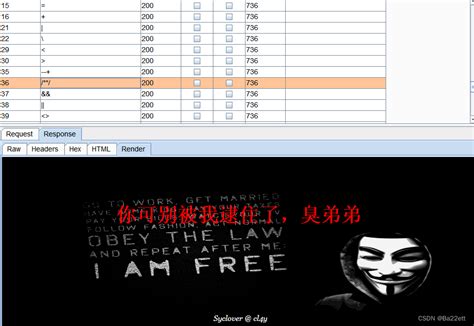 [极客大挑战 2019]hardsql csdn博客