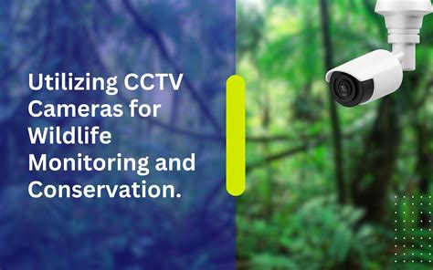 Utilizing Cctv Cameras For Wildlife Monitoring And Conservation