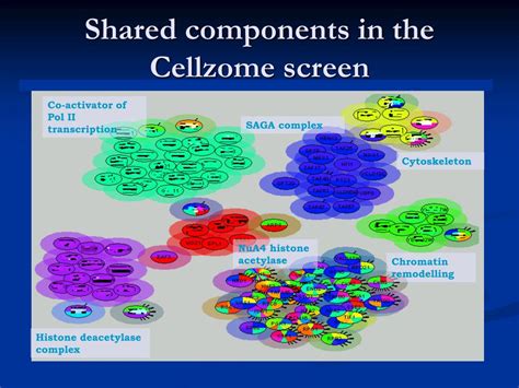 Ppt Bioinformatic Analysis Of Protein Complexes Powerpoint