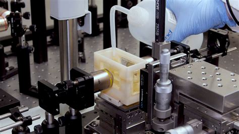 Light Sheet Microscopy Olympus Shelly Lighting