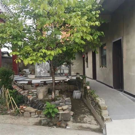 环境阳新排家匠心绘制人居环境新画卷 庭院 菜园 农家