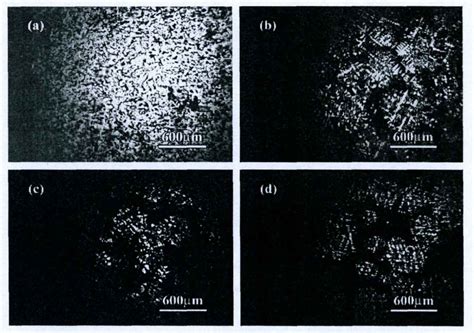 Effect Of Vibration Frequency On Matrix Structure Of Vermicular Graphite Cast Iron Zhy Casting