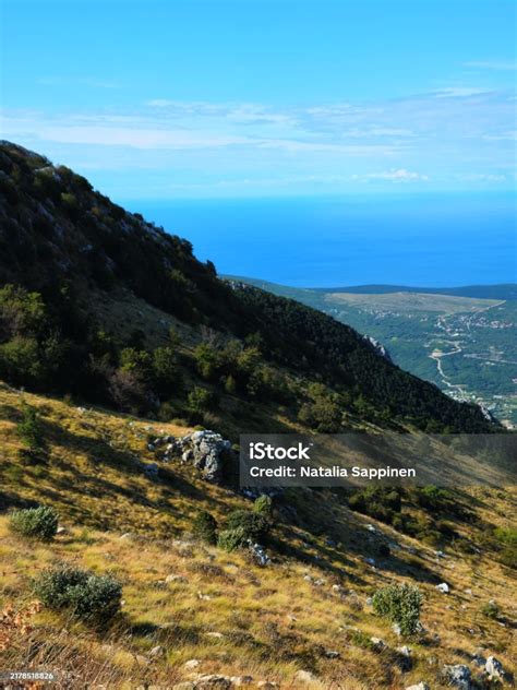 몬테네그로 코토르 만 근처의 녹지와 바위가 있는 햇볕이 잘 드는 산비탈의 수직 모습 복사 공간이 있는 밝은 푸른 하늘 아래 자연