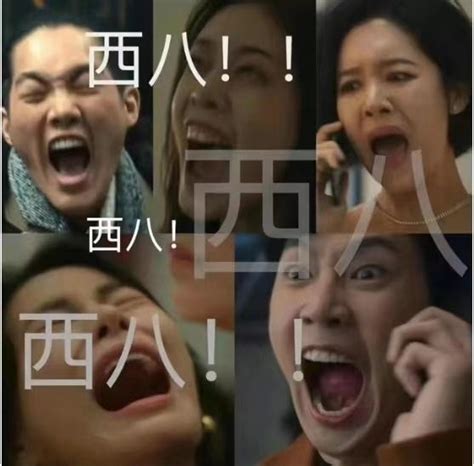 周一的早八可不就是西八的八嘛！西八呀！早晚得疯