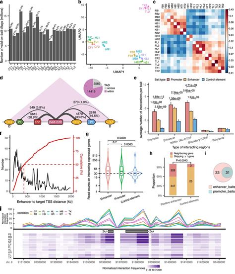 Enhancer Capture Hi C Identifies Enhancer Centric Chromatin Download Scientific Diagram