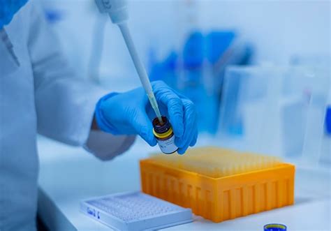 Pre Formulation Formulation Optimisation Process Development