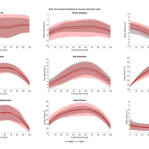 Interpretation Of The Vector Modified Coding Technique Using A Polar