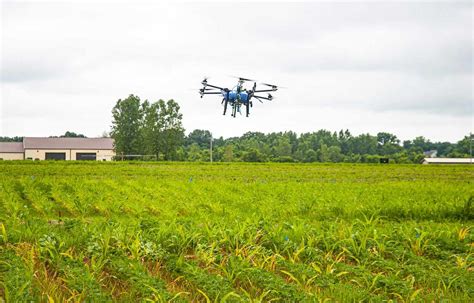 Drone Technology Offers New Approach To Combat Weeds