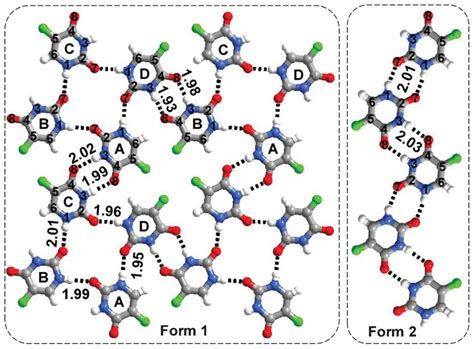 Two Polymorphic Forms Of 5 Fluorouracil Form 1 And 2 Download Scientific Diagram