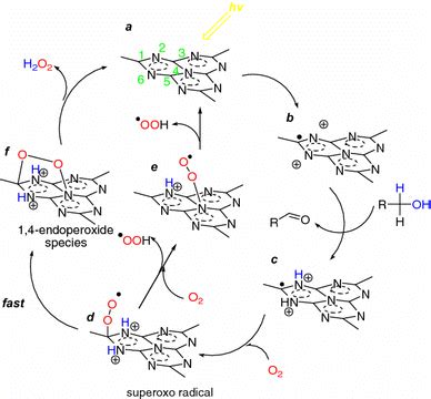 Proposed Mechanism For Selective H O Formation On The Surface Of Download Scientific Diagram