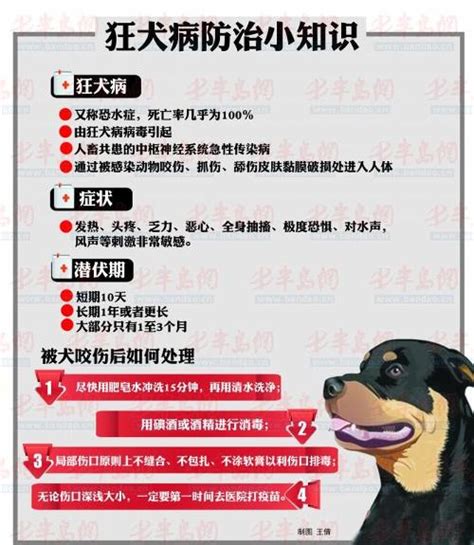 狂犬疫苗新规则2017狂犬疫苗有效期 随意云