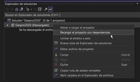 Nuget Package Manager Dont Show Installed Packages In Vs2022 But Yes