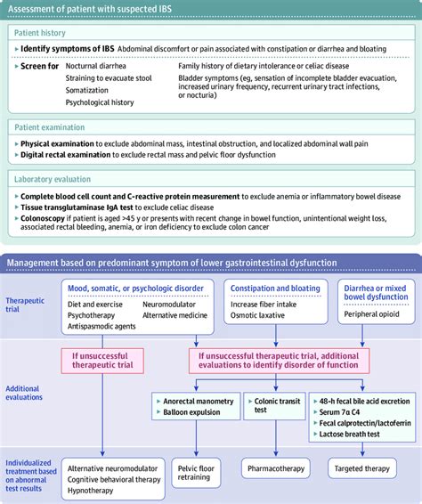 Figure Suggested Algorithm For Diagnosis Of Ibs And Associated Download Scientific Diagram