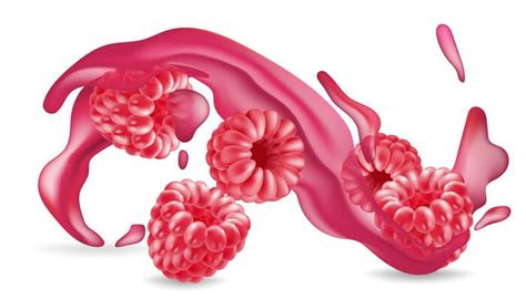 Raspberry Splash Vector Art Icons And Graphics For Free Download