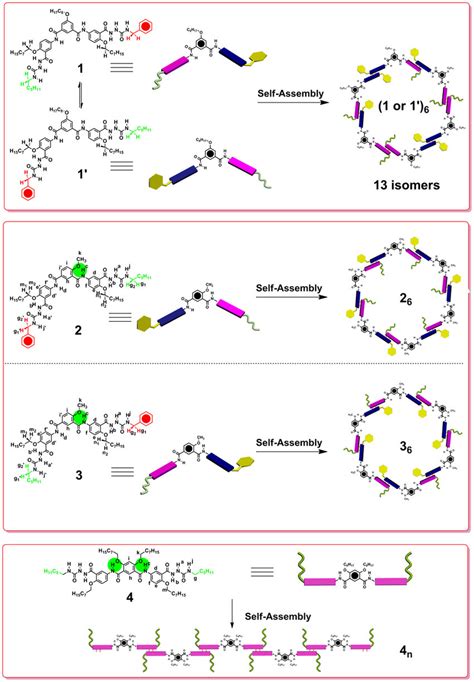 Representation Of Self Assembly Of Compounds 1 2 3 And 4 With
