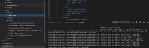 Scratch Org Salesforcedx Standard Object Custom Fields Are Not