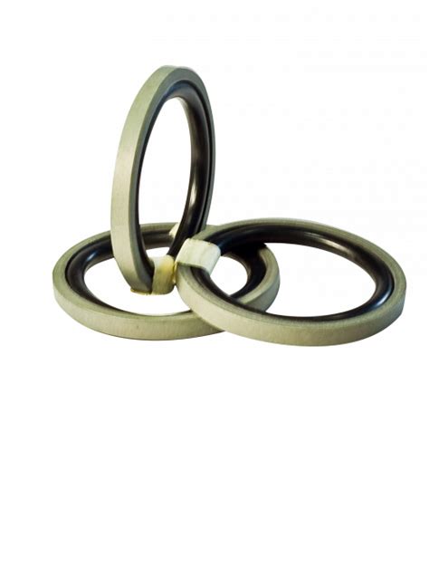 Поршневая манжета К17 (Р4) 29x40x4 PTFE-Bronze+NBR купить в СПб ...
