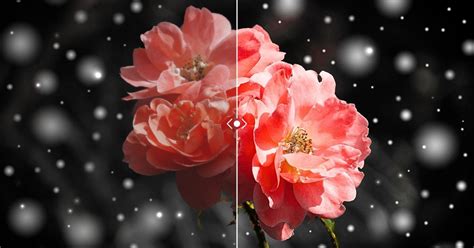 Before After Sliders Code Canel