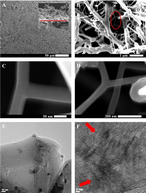 Representative SEM And TEM Micrographs For MWCNT Films A Download Scientific Diagram