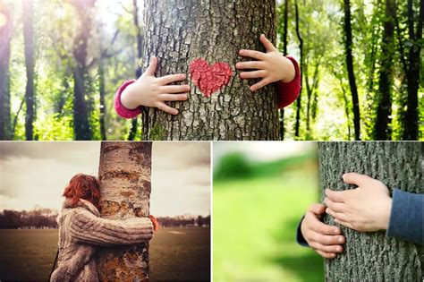 Missoulians Should Join Worlds Unique Tree Hugging Competition