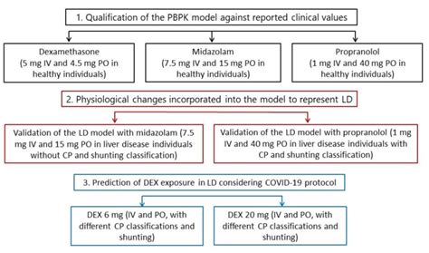 Overall Step By Step Workflow Representing The Pbpk Modelling Download Scientific Diagram