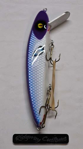 9 Inch Sexy Cisco Ridgway Customs