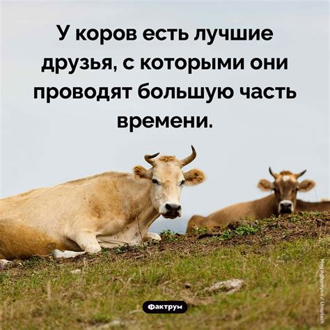 Подборка интересных фактов обо всем фото картинки Екабу ру